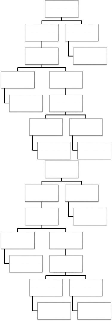 Conic Sections Flow Chart Pdf