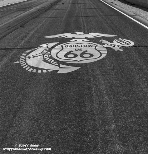 White Grasshopper Scott Shaw Photography