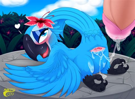 Rule 34 Animal Genitalia Avian Beak Bird Blue Body Blue Feathers Blue