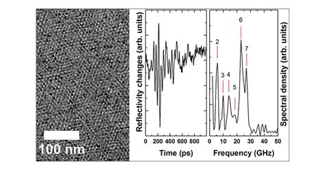 Coherent Acoustic Phonons In Colloidal Semiconductor Nanocrystal