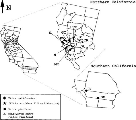 Figure 1 From Nematode Diversity Of Native Species Of Vitis In California Semantic Scholar