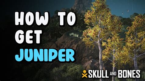 How To Get Juniper Juniper Location Skull And Bones Youtube