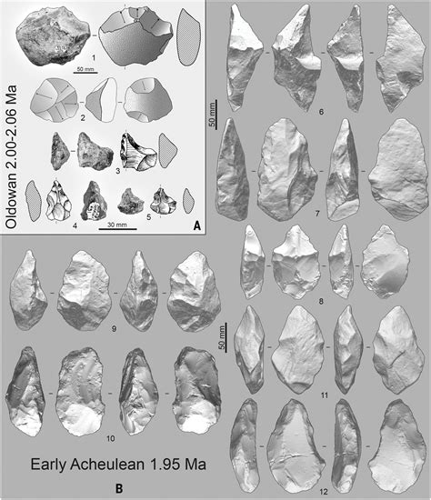 Early Homo Erectus Lived At High Altitudes And Produced Both Oldowan
