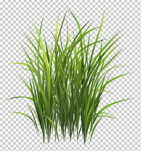 Grass Animated Green Grass Illustration Png Clipart Fresh Garden Grass Animated Green