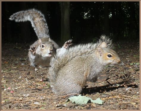 Image Of The Day By Subject