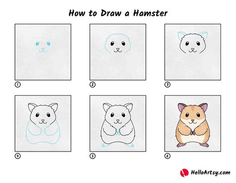 Comment Dessiner Un Hamster Mignon