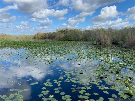 Everglades National Park An Overlanders Guide To Everglades National