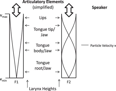 Simplified Model Of The Excitation Of The Vocal Tract With An External