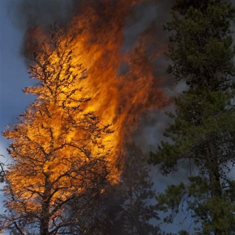 Csu Aids Wildfire Response With New Wui Map Colorado State University