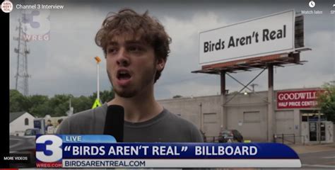 Editorial Finally The Truth Comes Out About Birds And Wacky