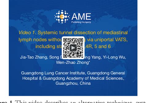 Figure 1 From Systemic Tunnel Dissection Of Mediastinal Lymph Nodes