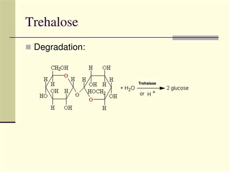 Ppt Introduction To Biochemistry Ii Powerpoint Presentation Free