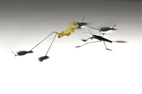 Water Strider Robot This Bug Inspired Bot Can Hop On Water