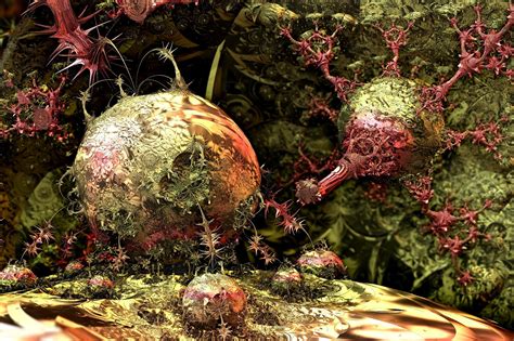 Tumor Propagating Cells Dont Work Alone