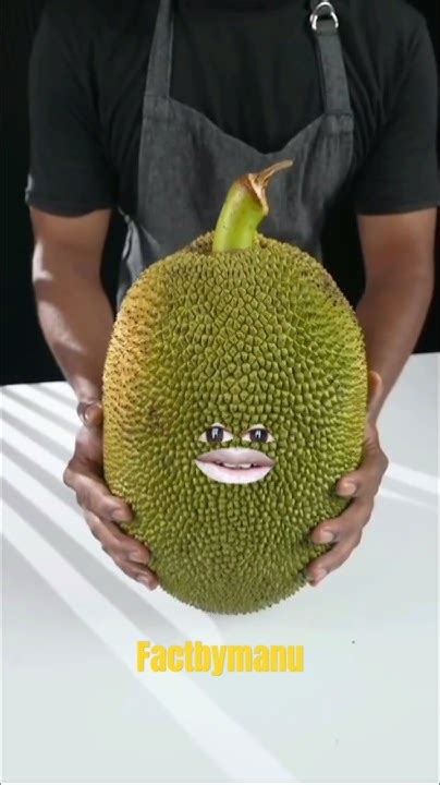 Funny Jackfruit😂 Funnyshorts Food Cookingrecipes Ytshorts Recipe