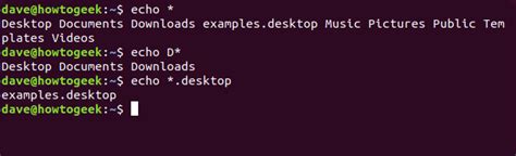 How To Use The Echo Command On Linux