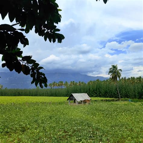 Mukil Prakash Mukil 01 • Instagram Photos And Videos