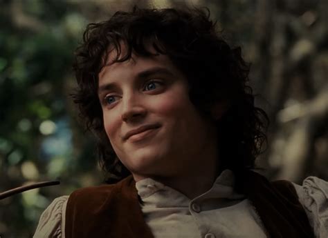 Frodo Baggins Smile 2 Lord Of The Rings The Hobbit Fellowship Of The Ring