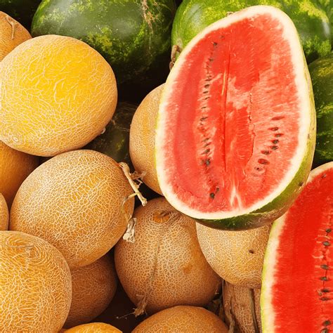 Investigadores De Inia La Platina Publican Capítulo Sobre La Intensificación Sostenible De