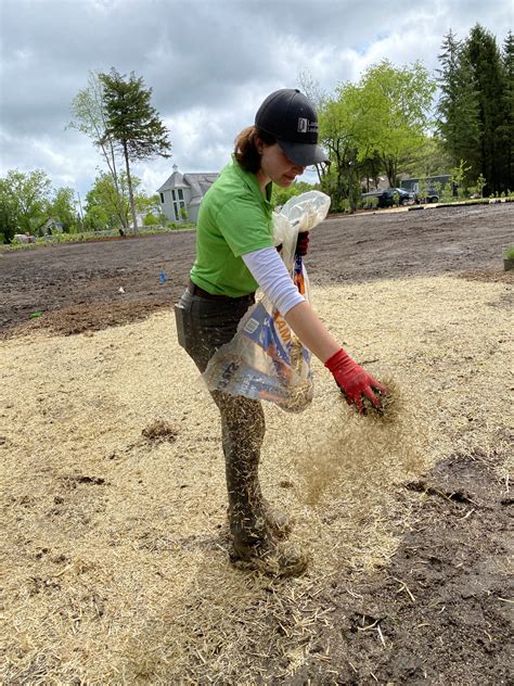 Dormant Grass Seeding Landmark Landscapes Inc