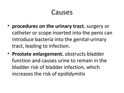 Epididymitis Ppt