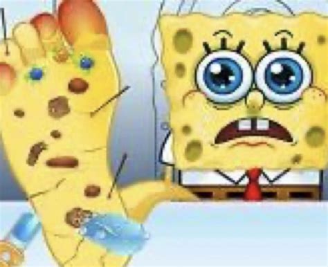 Pin By Sophia On Memes Funny Silly Pictures Really Funny Pictures