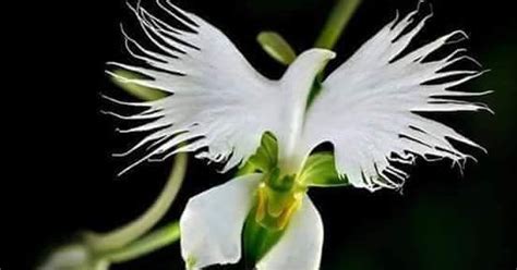 ☀⭐မုန္းမရွိ⭐☀ စကားအရာ အဂၤါေလးတန္