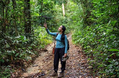 Alan Mcelligott On Linkedin Latin Americas Bird Scientists Issue Manifesto To End Marginalization