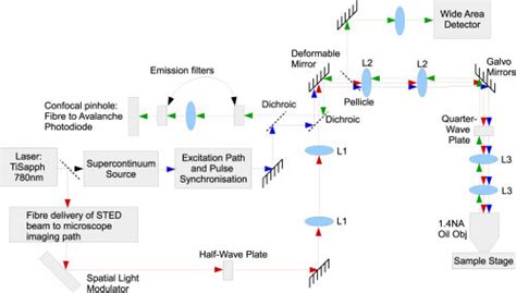 Schematic Of The Adaptive Optics Sted Microscope A Tisapph Oscillator Download Scientific