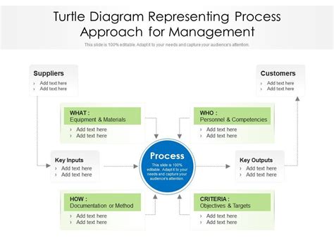 Turtle Diagram Representing Process Approach For Management