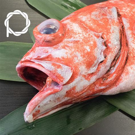 メヌケ Menuke Yelloweye Rockfish Op Ocean Providence Facebook