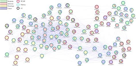 Network Perturbation In Common Human Diseases The Most Significantly