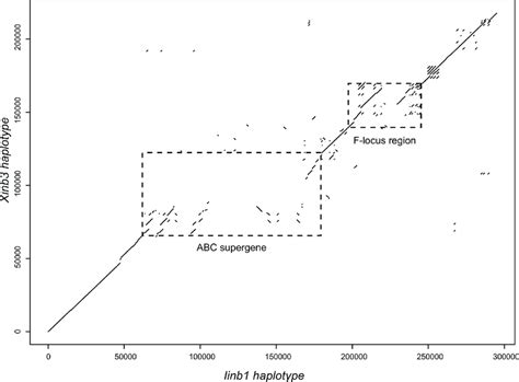 Compared Alignments At Abc Supergene And F Locus Region Dot Plots Of