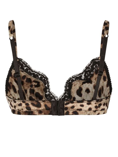 Dolce And Gabbana Leopard Print Lace Detail Bra Neutrals Farfetch