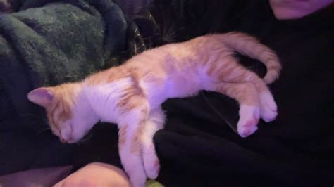 Dylon Harryman Dylonharryman4 • Instagram Photos And Videos