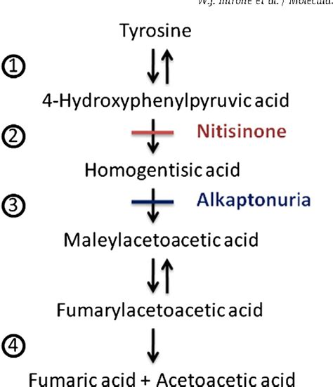 Alkaptonuria Pathway