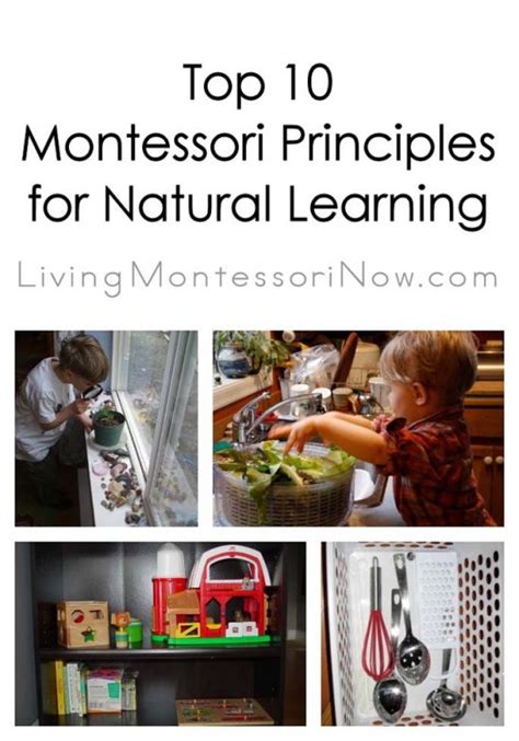 What Is Montessori Principles At Jasper Vogel Blog