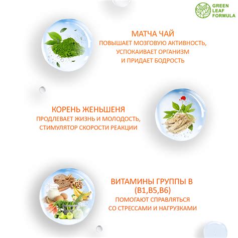 Метабиотик для кишечника Green Leaf Formula матча чай для тонуса ...