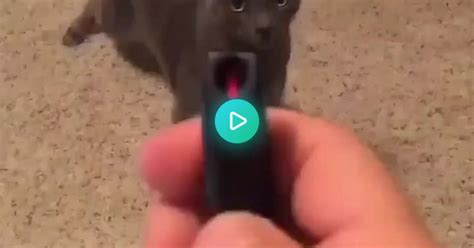 Floppy Disk Drive Album On Imgur