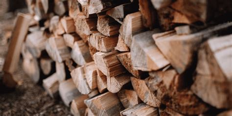 Are Lumber Renewable Or Nonrenewable Resource At Todd Briggs Blog