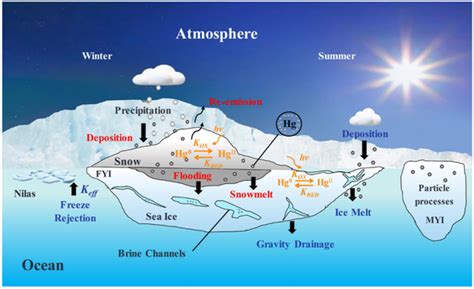 宏基因组分析项目再创新，汞元素循环 知乎