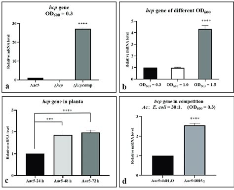 Activation Of Acidovorax Citrulli Hcp As Determined By Hcp Relative