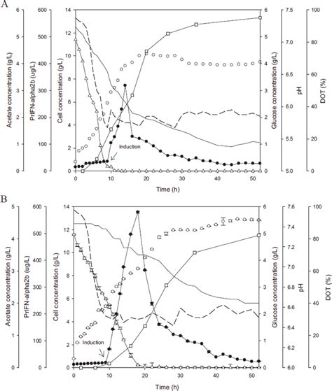 The Time Course Of Recombinant E Coli Fermentation For The Production