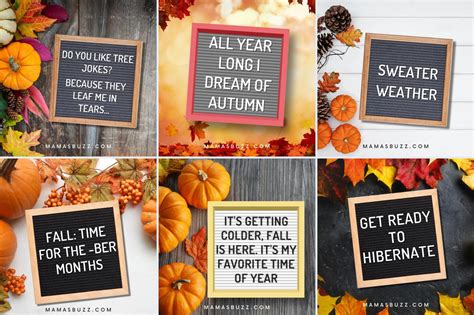 150 Best Fall Letter Board Quotes