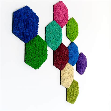 Beautiful Colored Moss Hexagon For Interior Design