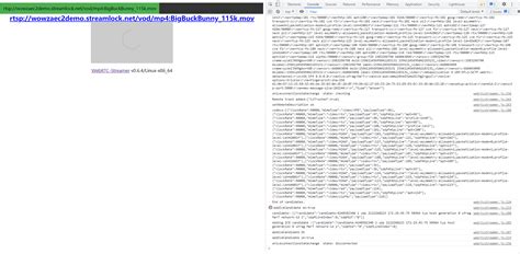Unable To Open Display · Issue 471 · Mpromonetwebrtc Streamer · Github