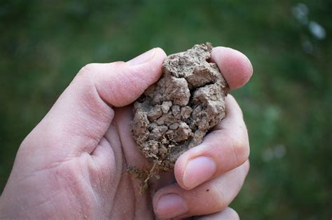 What Is Soil Structure And Why Its Important For Amazing Grass Growth