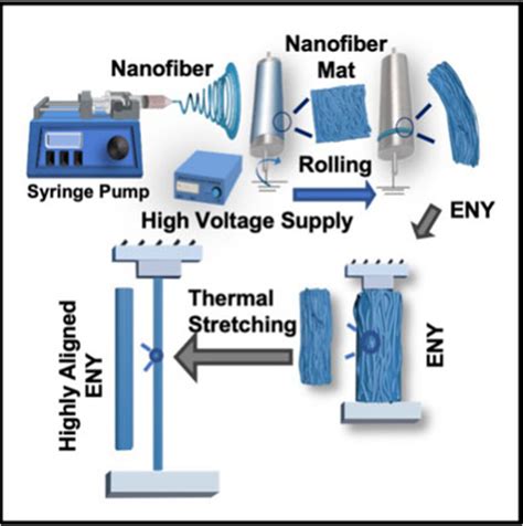 Design And Fabrication Of Highly Aligned Polyl‐lactide‐co‐ε