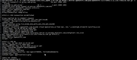 oc install and setup fails · issue 135 · redhat developer openshift