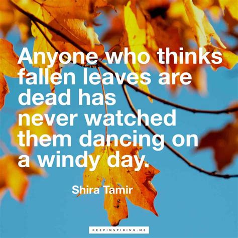 Fall Quotes And Sayings For Autumn Keep Inspiring Me